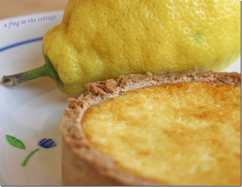 A frog in the cottage: Fiadone : soft Brocciu goat cheese and lemon ...